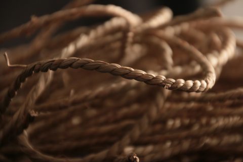 How to Make Cordage from Natural Fibers - Bushcraft Buddy