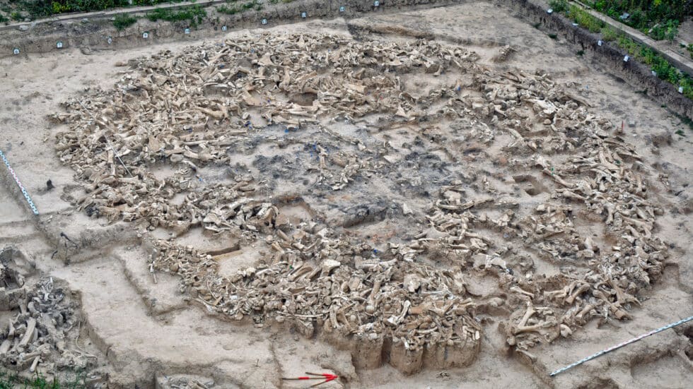 How did humans survive the last Ice Age - Bushcraft Buddy
