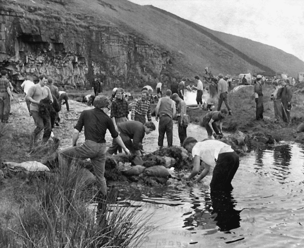 The 5 Most Tragic Cave Disaster Stories - Bushcraft Buddy