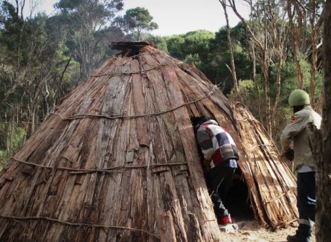 How did the Aboriginals survive in Australia? - Bushcraft Buddy