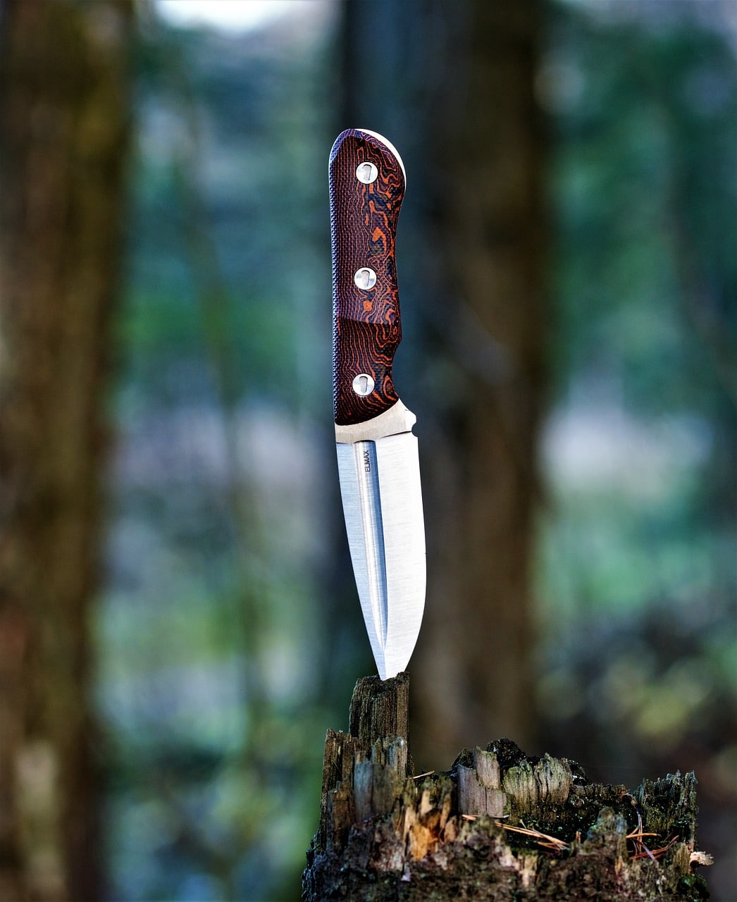How to choose a Bushcraft Knife - Bushcraft Buddy
