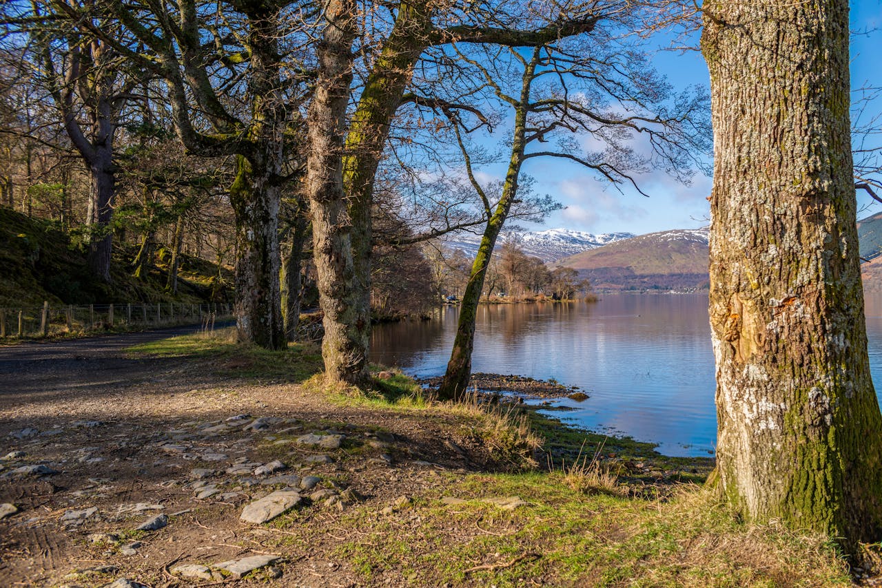 Bushcraft in Scotland's National Parks - Bushcraft Buddy